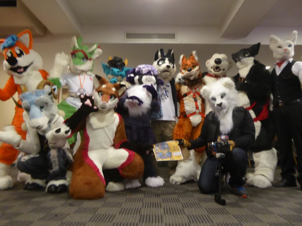 FurryLah 2015- Singapore’s first Furry Con - SGFurs (Singapore Furs)