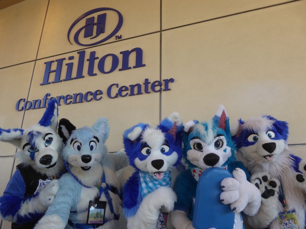 Rainfurest 2015 at Seatac, Seattle - SGFurs (Singapore Furs)