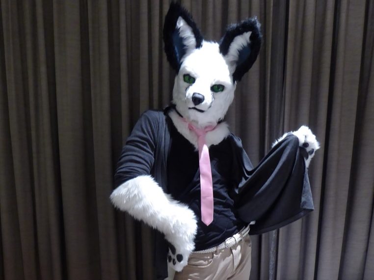 Fursuit feature: Kai the Folf fursuit debut - SGFurs (Singapore Furs)