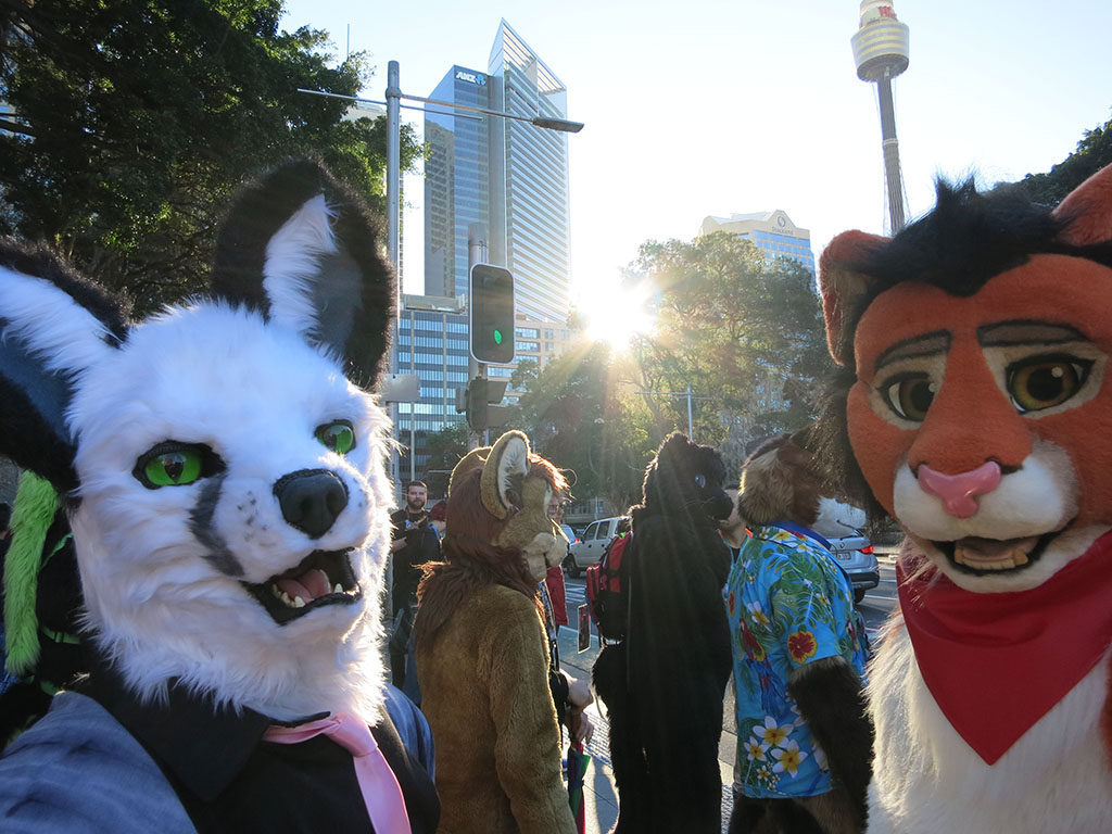 SGFurs (Singapore Furs) - Home of the Singapore Furry